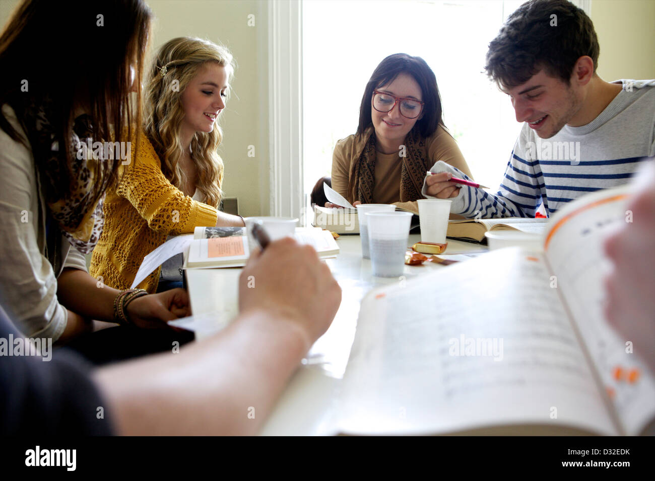 Young adults studying and having discussions and chatting Stock Photo ...