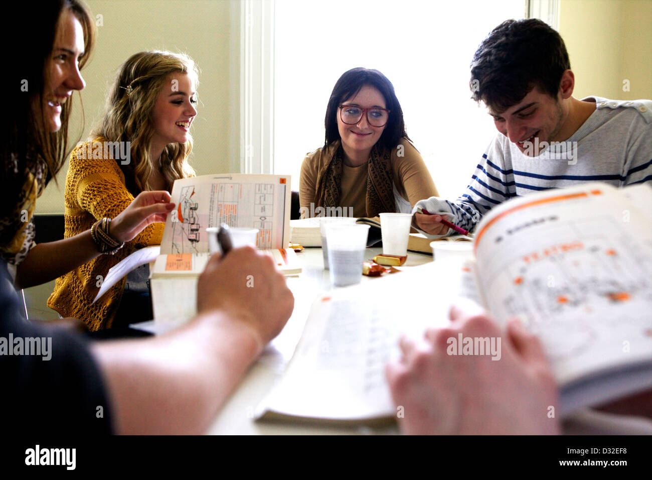 Young adults studying and having discussions and chatting Stock Photo ...