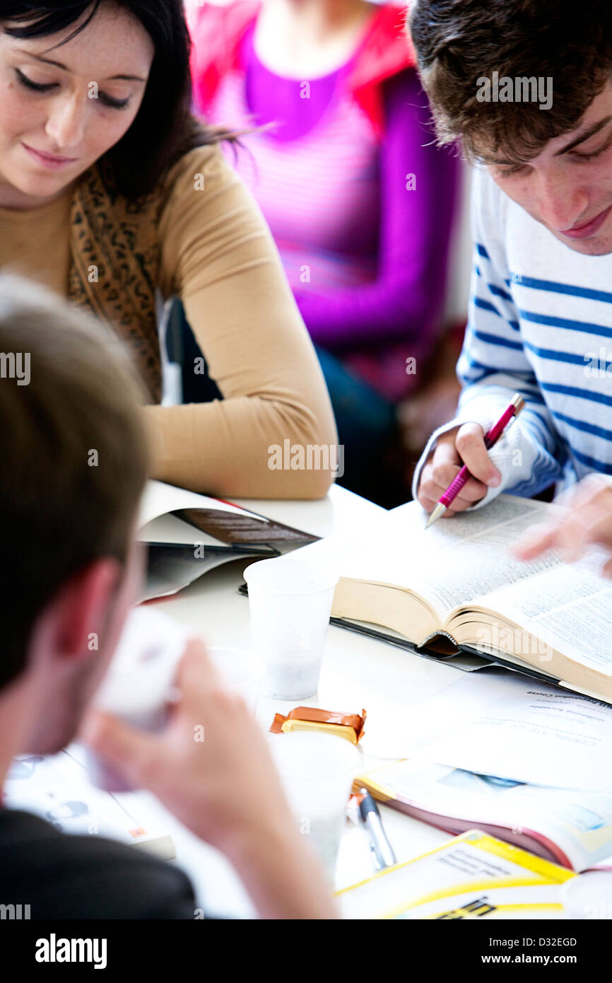 Young adults studying and having discussions and chatting Stock Photo ...