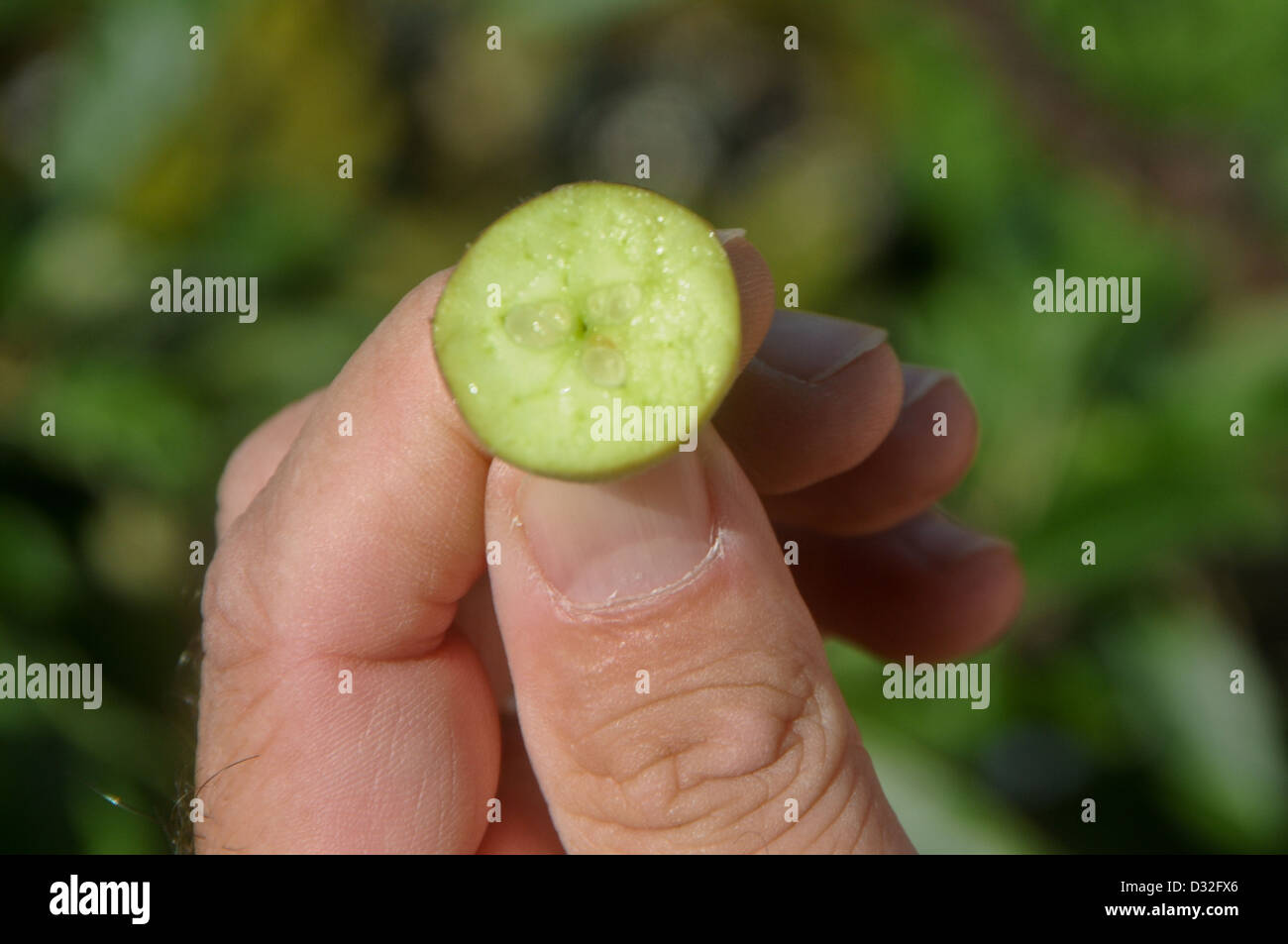 Underdeveloped hi-res stock photography and images - Alamy