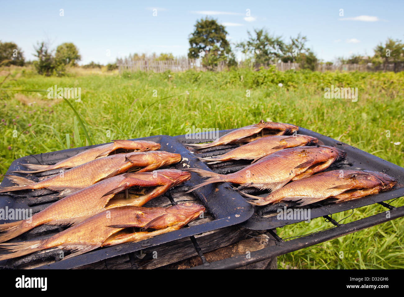 Just smoked fresh fish caught in Russian river Stock Photo - Alamy
