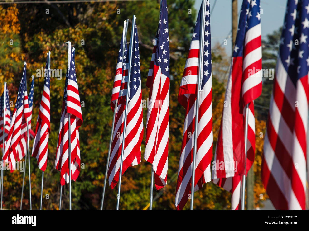 American flags in a row hi-res stock photography and images - Alamy