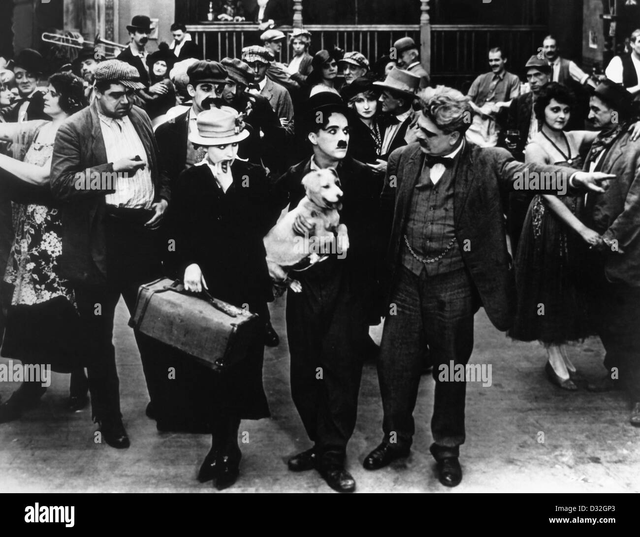 A Dog's Life Stock Photo - Alamy