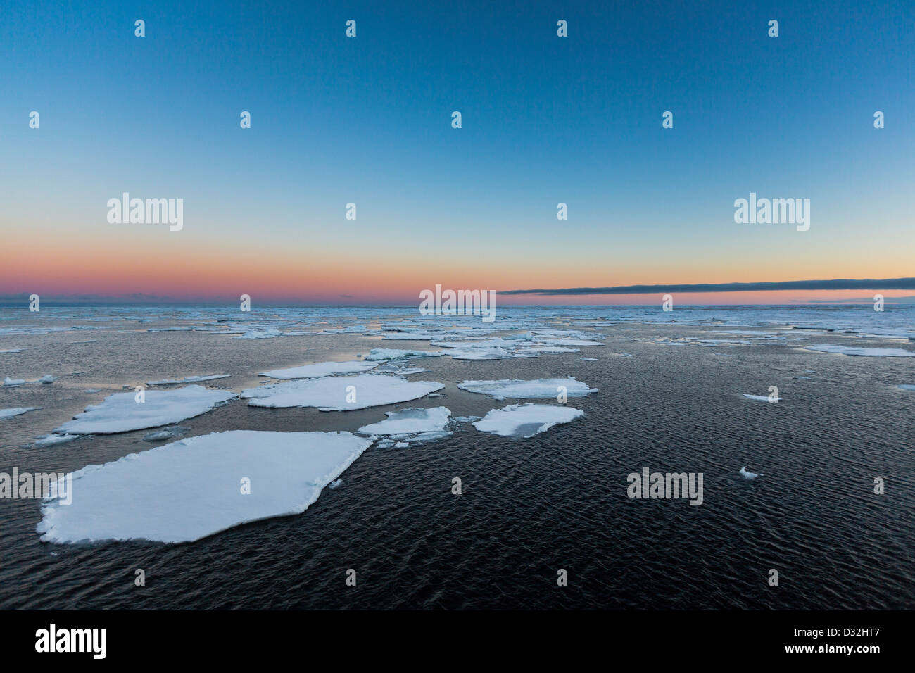 Pancake Ice-North Atlantic Ocean Packed ice-Sailing between Svalbard ...