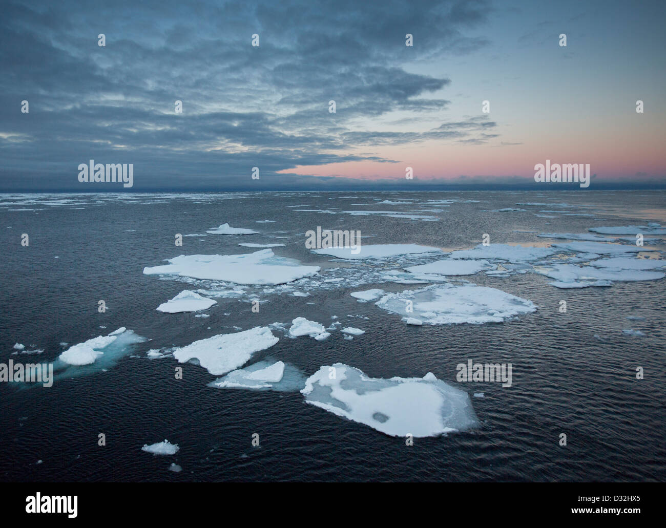 Pancake Ice-North Atlantic Ocean Packed ice-Sailing between Svalbard ...