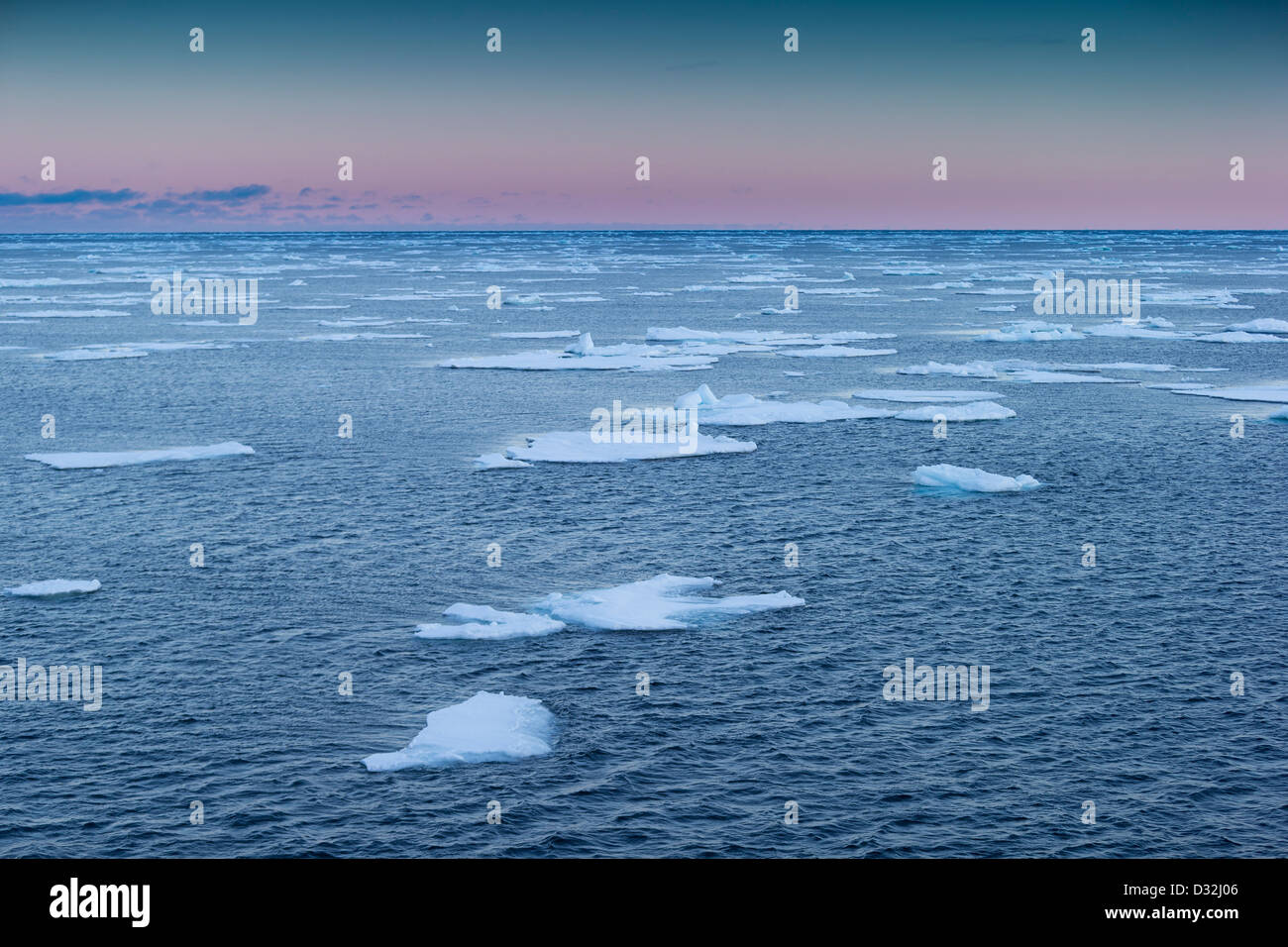Pancake Ice-North Atlantic Ocean Packed ice-Sailing between Svalbard ...