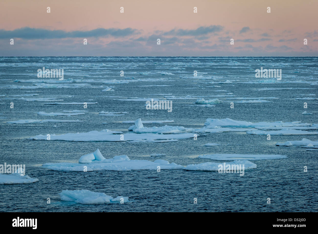 Pancake Ice-North Atlantic Ocean Packed ice-Sailing between Svalbard ...
