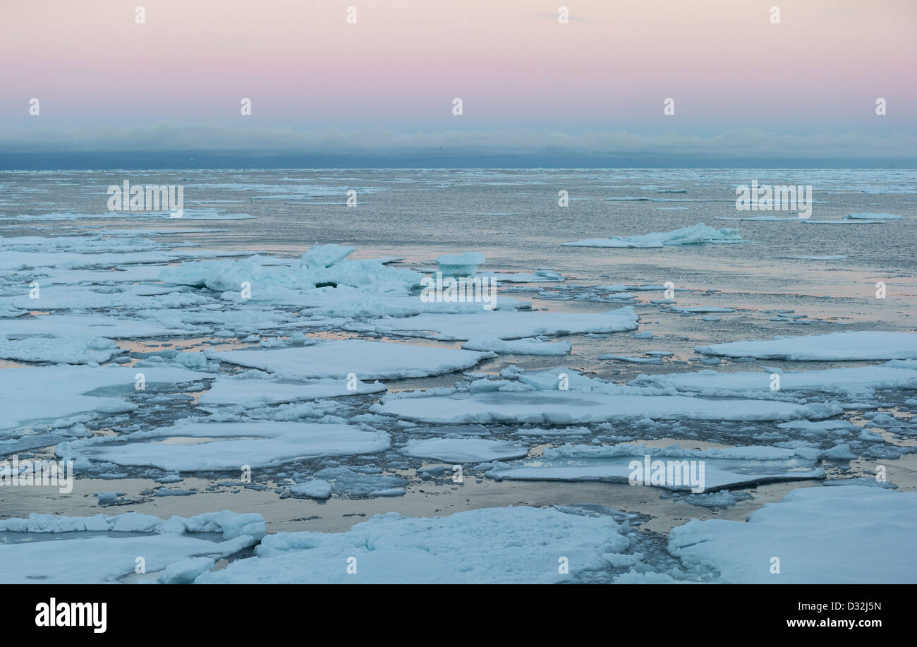 Pancake Ice-North Atlantic Ocean Packed ice-Sailing between Svalbard ...