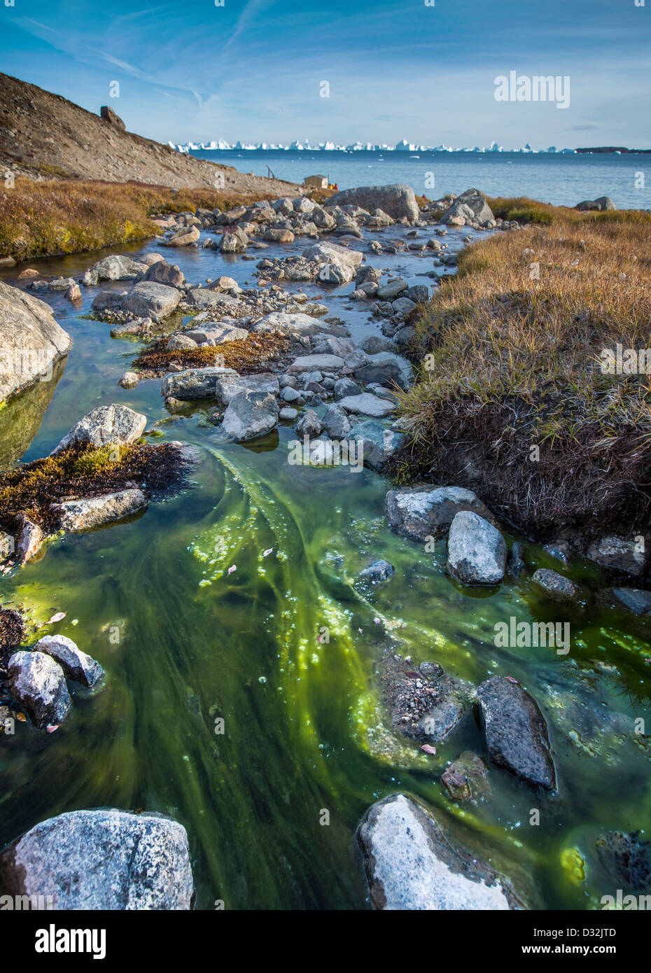 Water seaweed rocks hi-res stock photography and images - Alamy