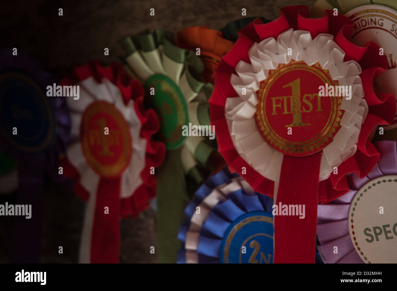 Horse rosettes hi-res stock photography and images - Alamy