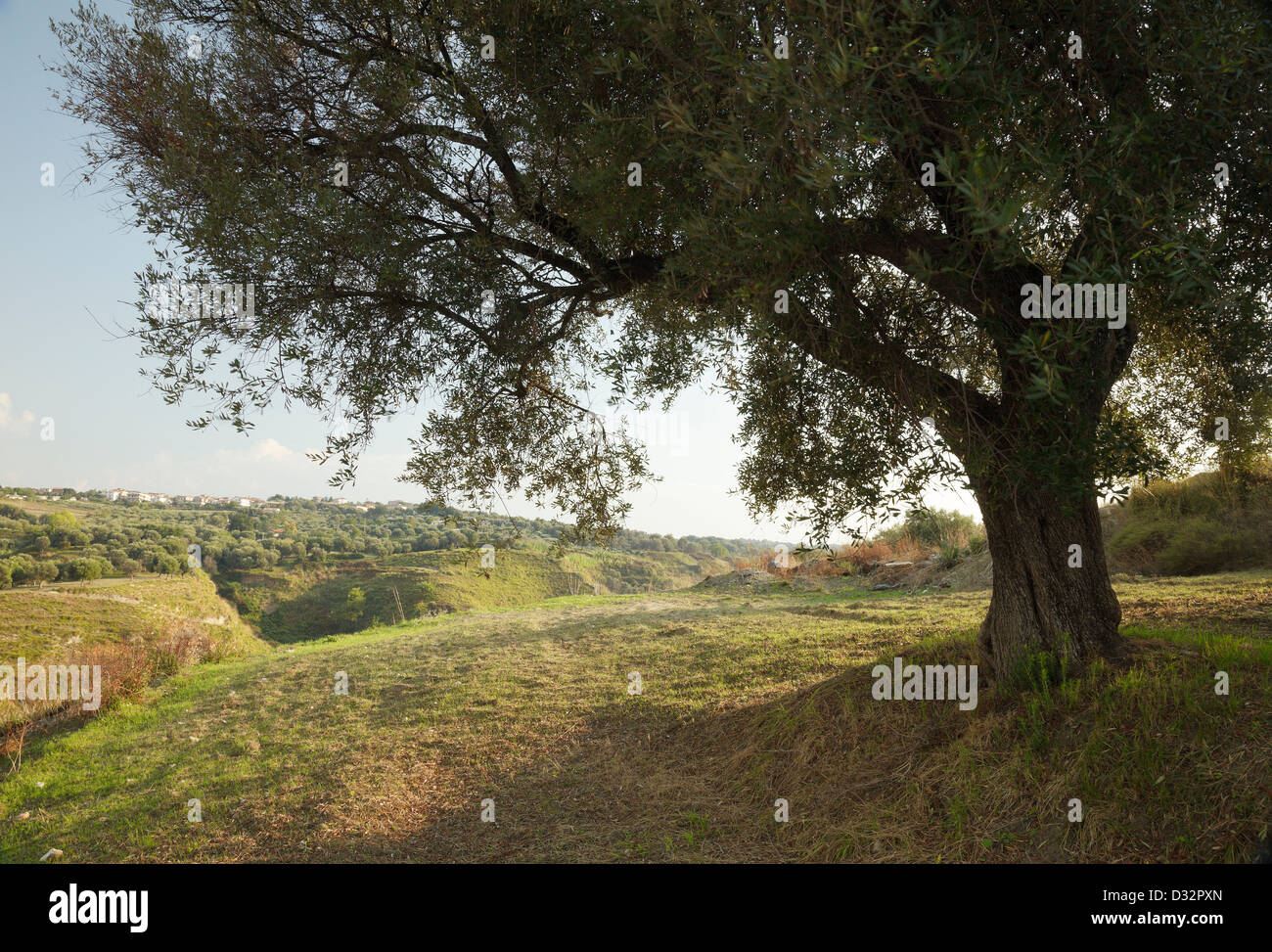 Calabrian culture hi-res stock photography and images - Alamy