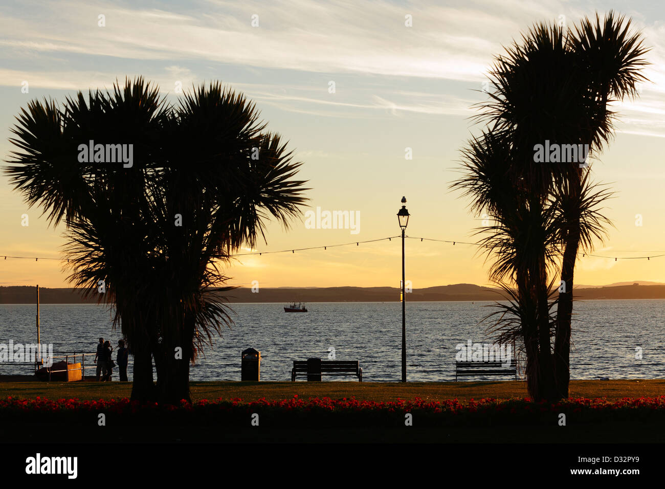 Scottish palm tree hi-res stock photography and images - Alamy