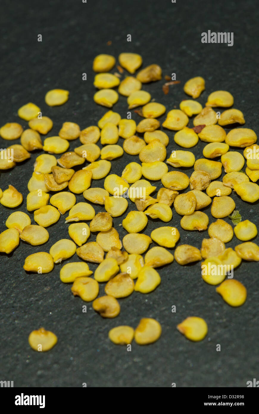 Chili pepper seeds hi-res stock photography and images - Alamy