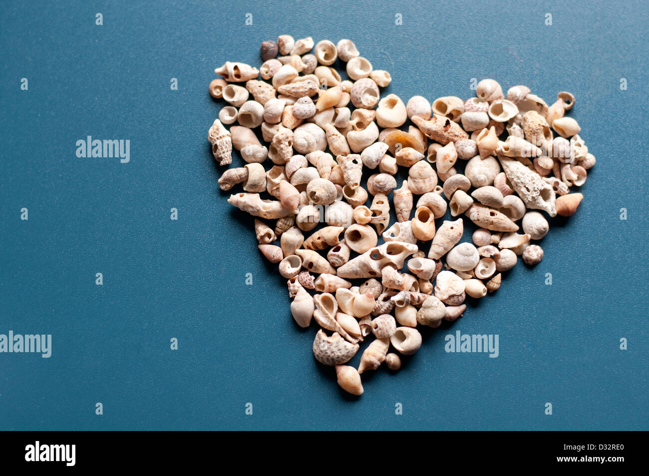 Heart shaped shells hi-res stock photography and images - Alamy