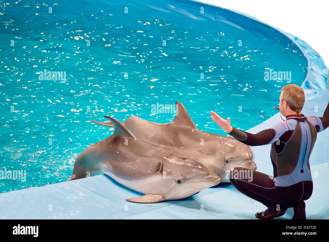 Man with dolphin hi-res stock photography and images - Alamy