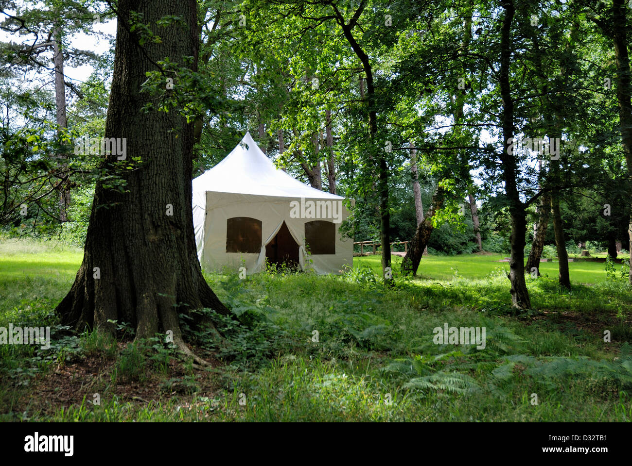 tent in a forest clearing england uk Stock Photo - Alamy