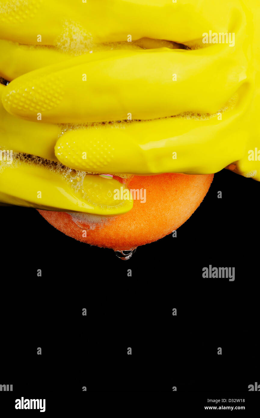 gloved hand squeezes a sponge for cleaning Stock Photo - Alamy