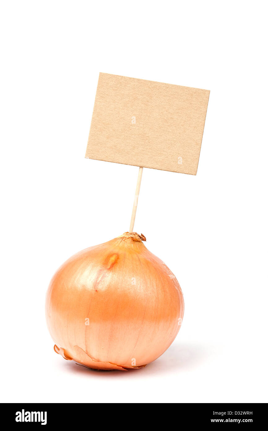 Single onion on white with card on stick Stock Photo - Alamy