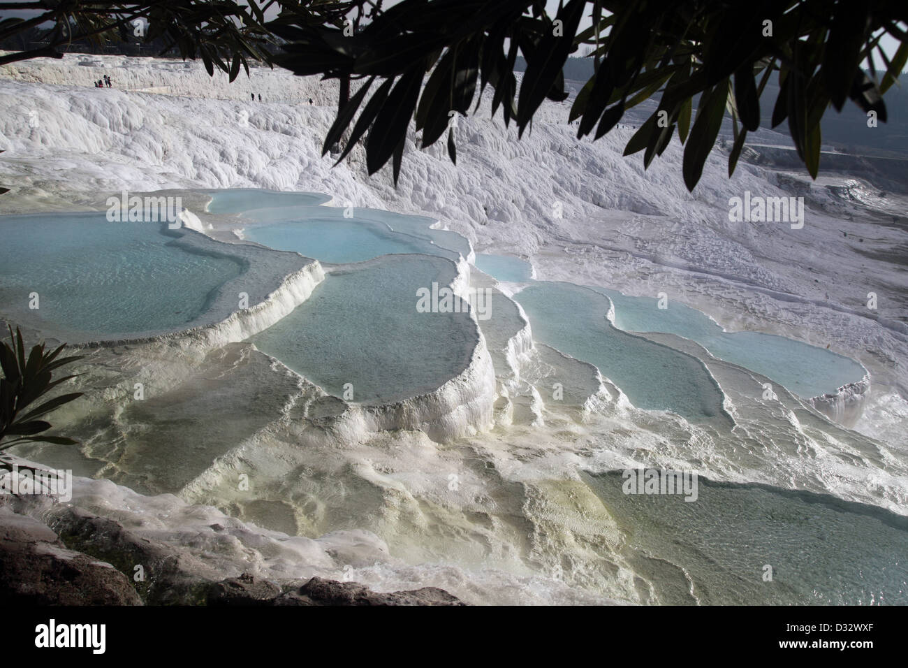 Travertine terraces at Pamukkale, Aegean, Turkey Stock Photo - Alamy