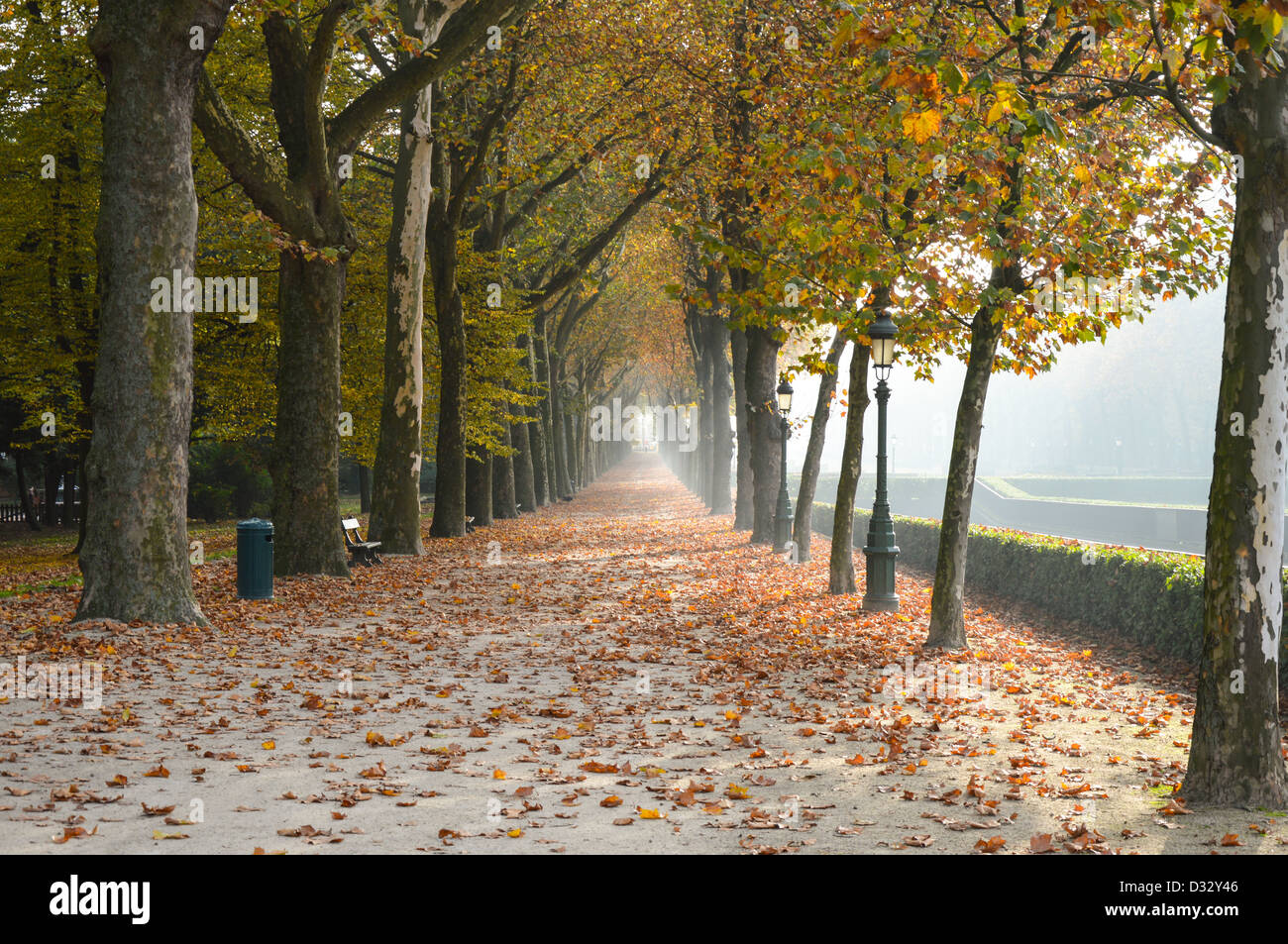 Autumn park in Dusseldorf Germany Stock Photo - Alamy
