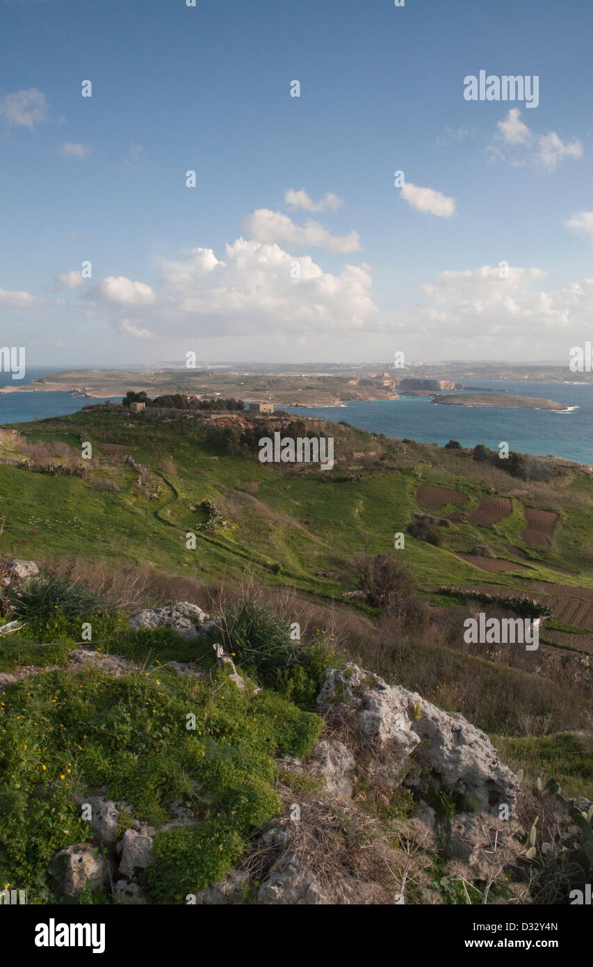 Gozo landscape, vista, grass, shrubs, stone walls, sea in distance ...