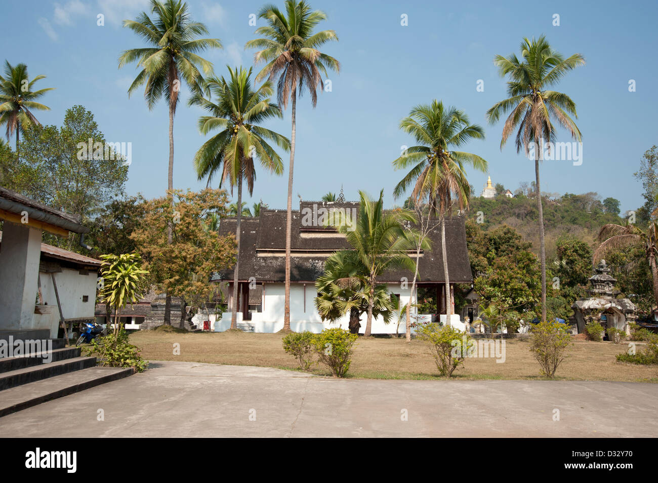 Palm trees and mountain temple golden spire Luang Prabang Laos Stock ...