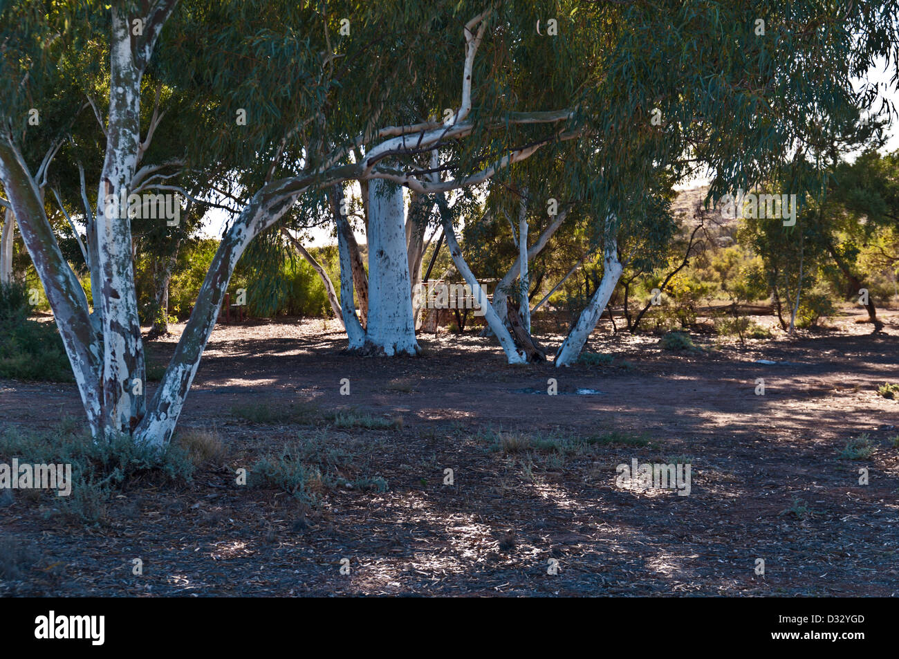 WELL 6, PIERRE SPRING, CANNING STOCK ROUTE, WESTERN AUSTRALIA ...