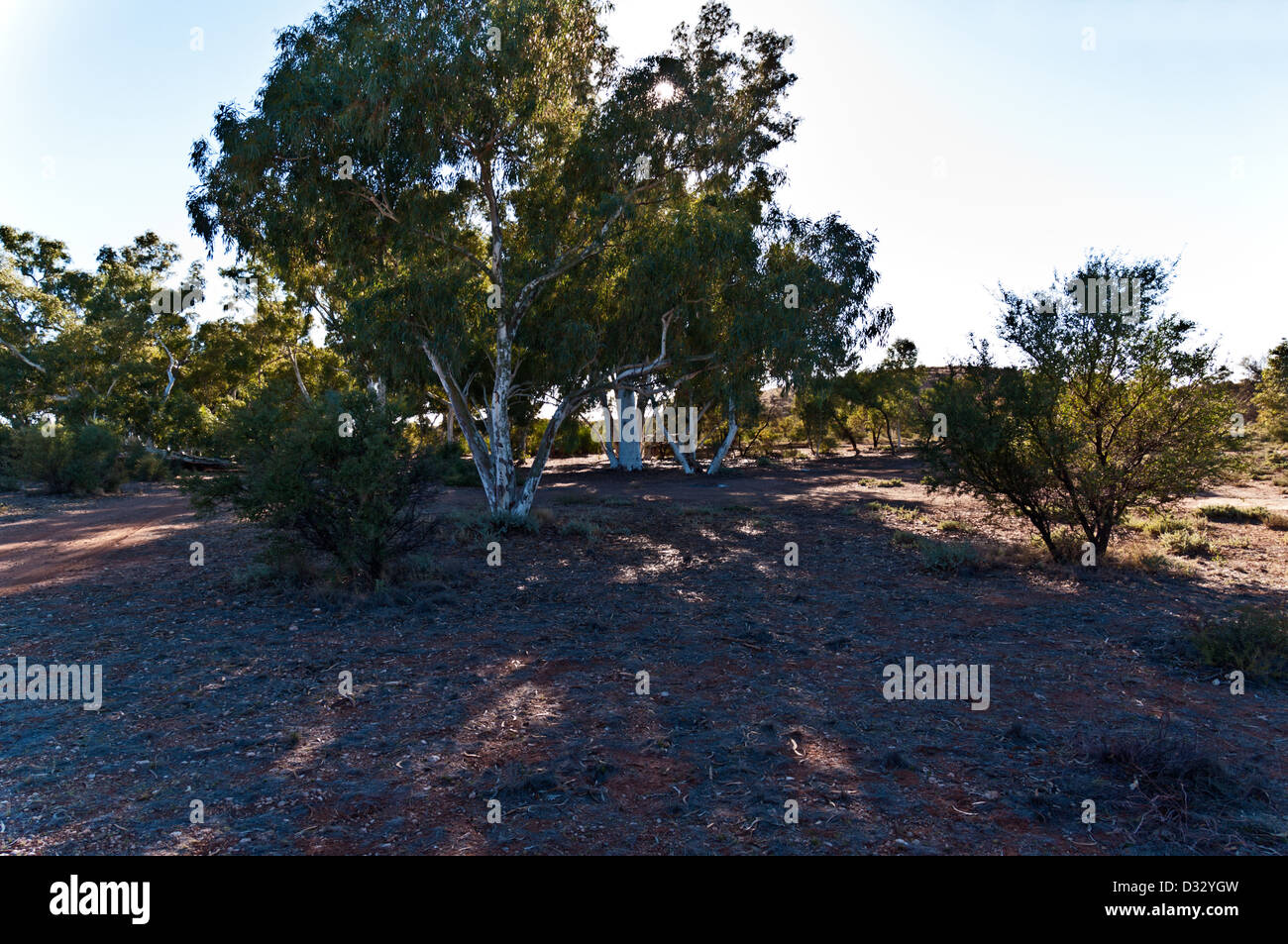 WELL 6, PIERRE SPRING, CANNING STOCK ROUTE, WESTERN AUSTRALIA ...