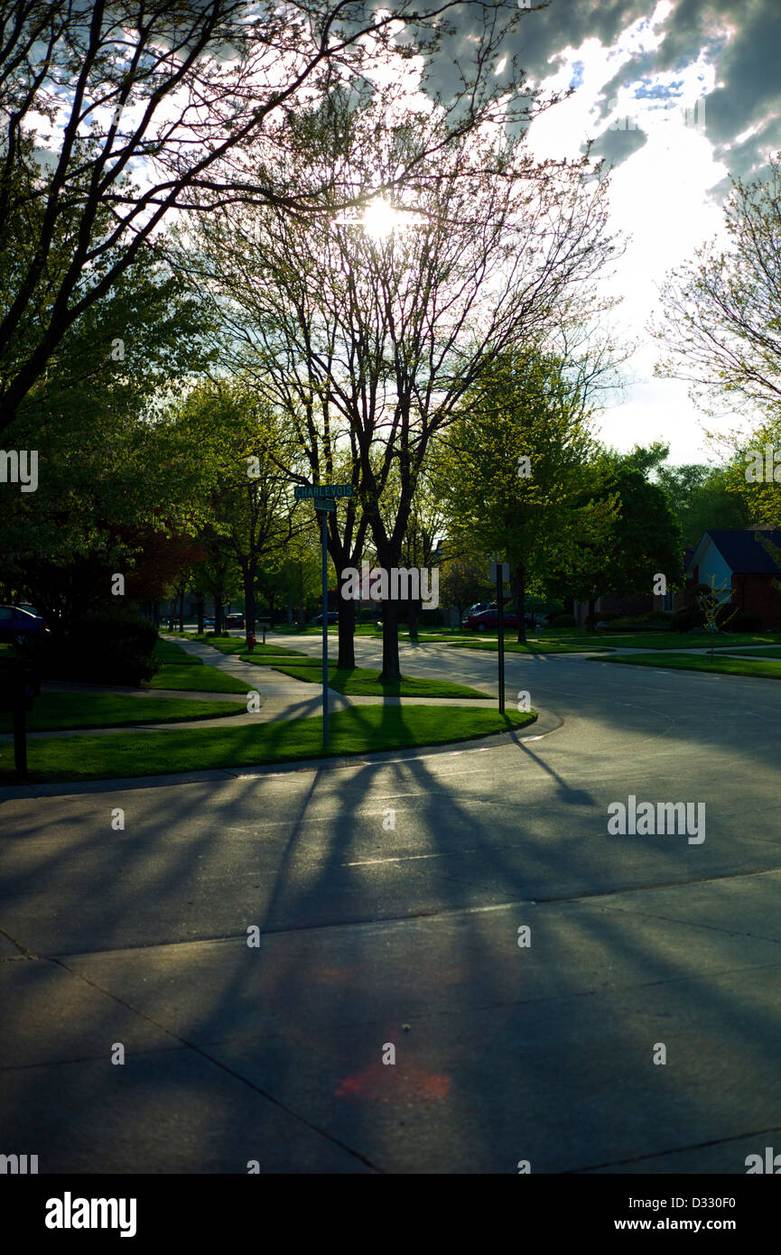 Suburban street at sunset Stock Photo - Alamy