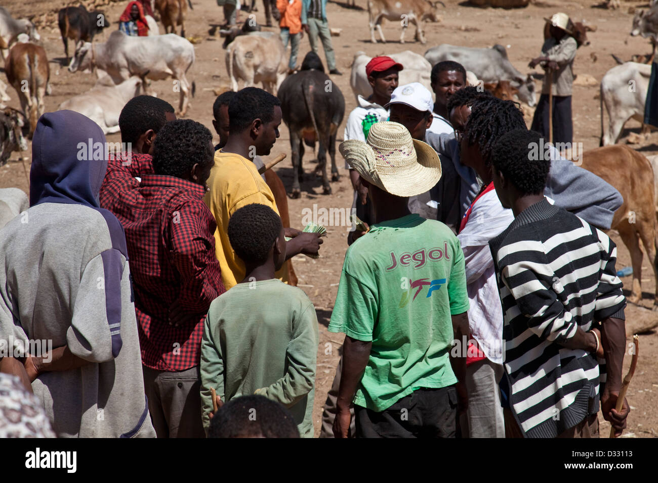 Livestock buyers hi-res stock photography and images - Alamy