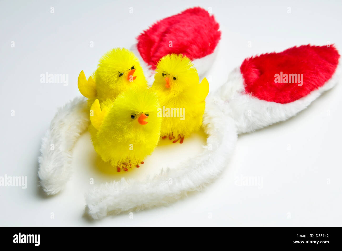 Easter biddy with bunny ears Stock Photo - Alamy