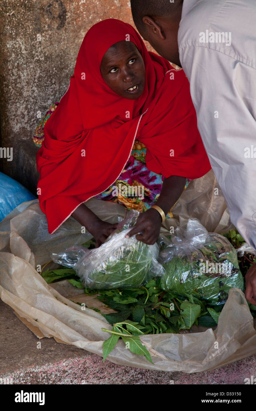 Khat ethiopia hi-res stock photography and images - Alamy