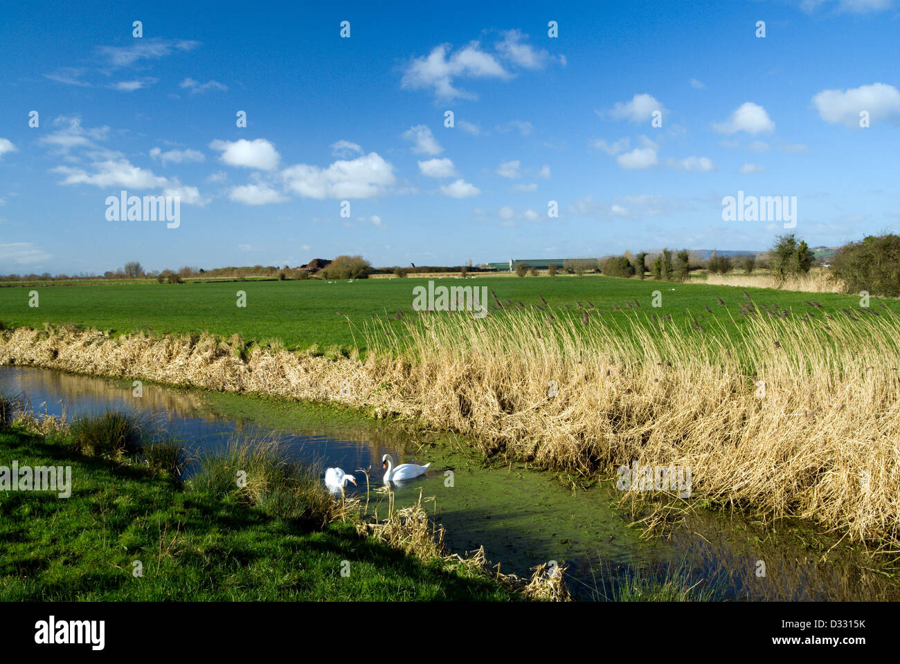 Gwent levels hi-res stock photography and images - Alamy