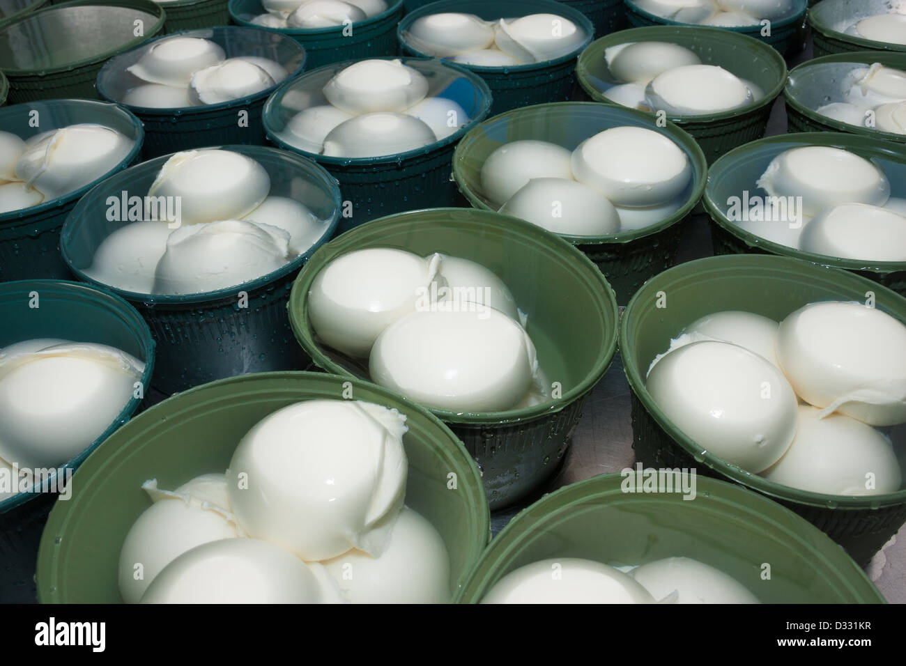 Cheese packaging at a production plant, a full frame take Stock Photo ...