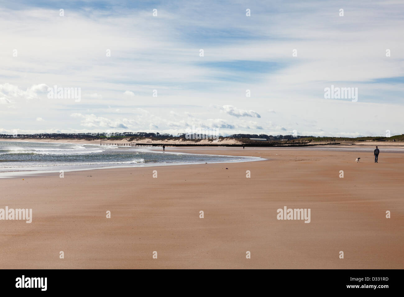 Blyth sandy beach at low tide, Northumberland, UK Stock Photo - Alamy
