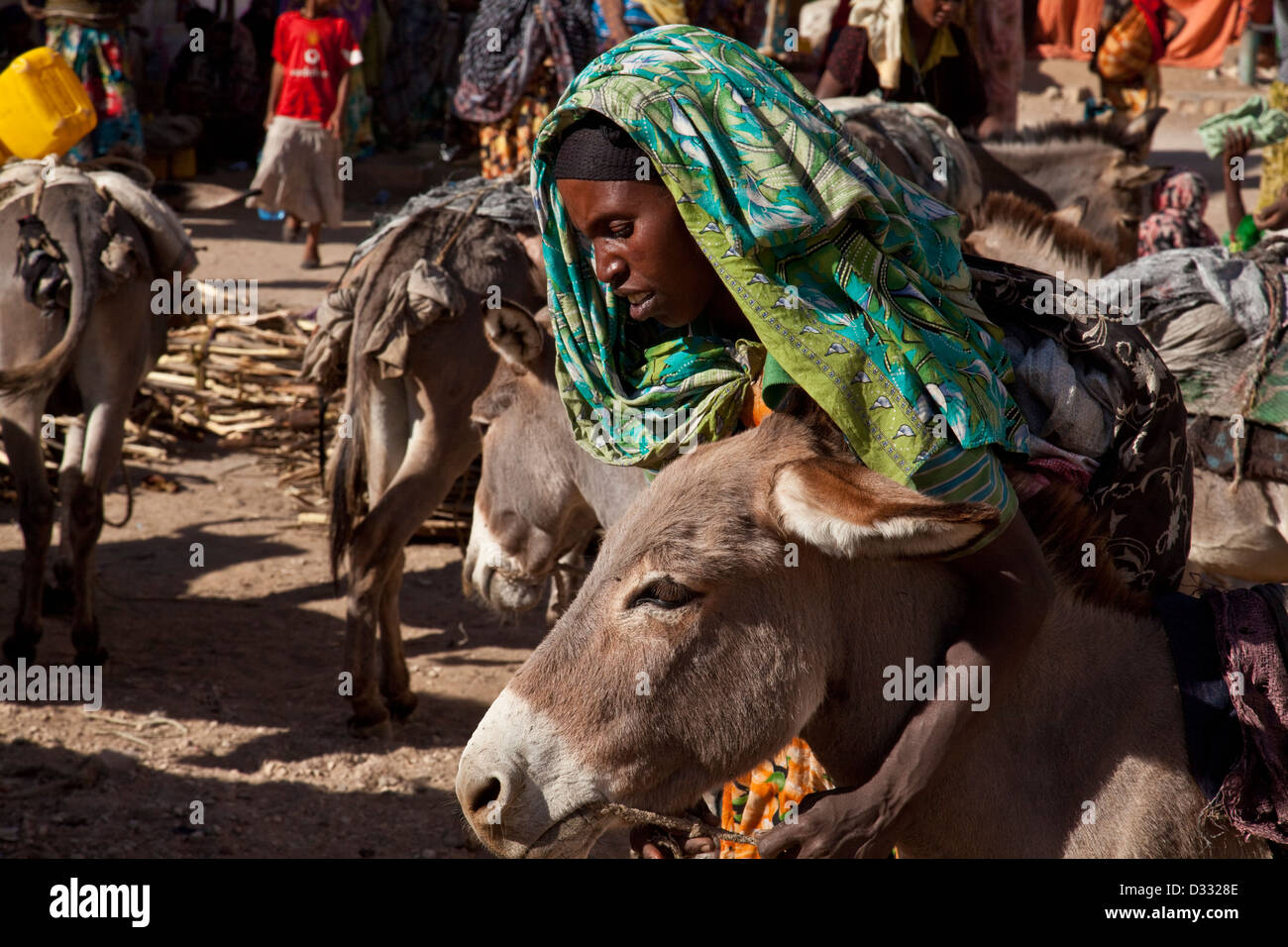 Livestock market, Jugol (Old Town) Harar, Ethiopia Stock Photo - Alamy