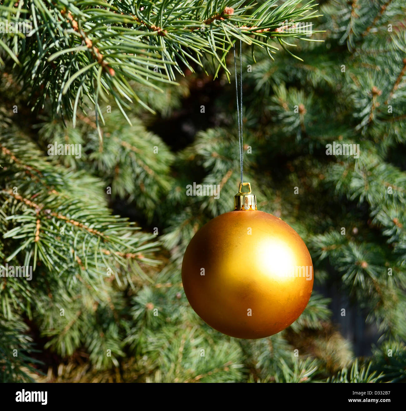 Golden bauble ornament on Chrtistmas tree closeup Stock Photo - Alamy