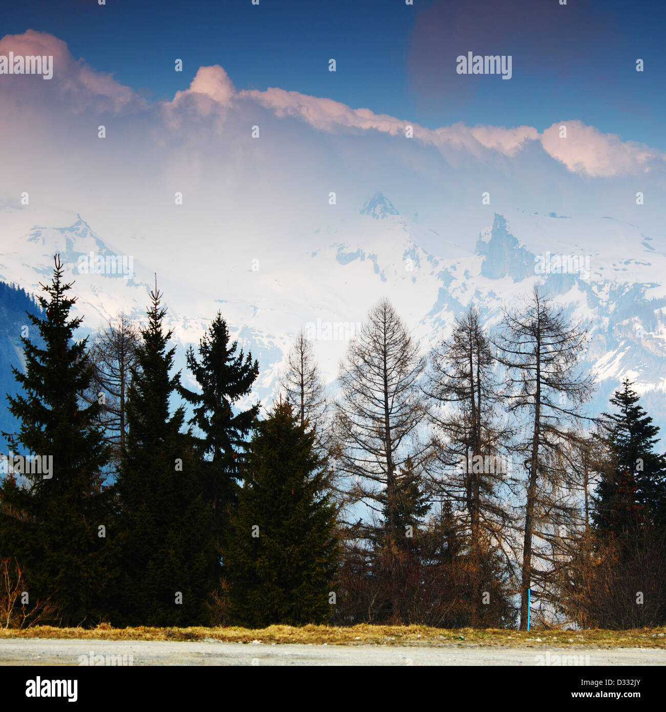 spring alps mountains scene background Stock Photo - Alamy