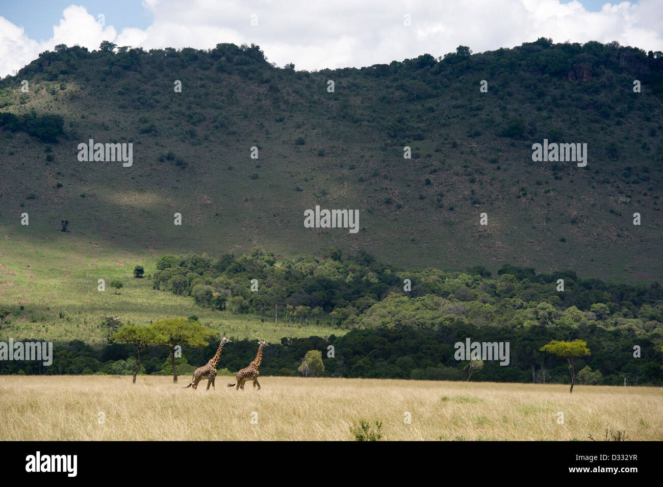 Oloololo escarpment hi-res stock photography and images - Alamy