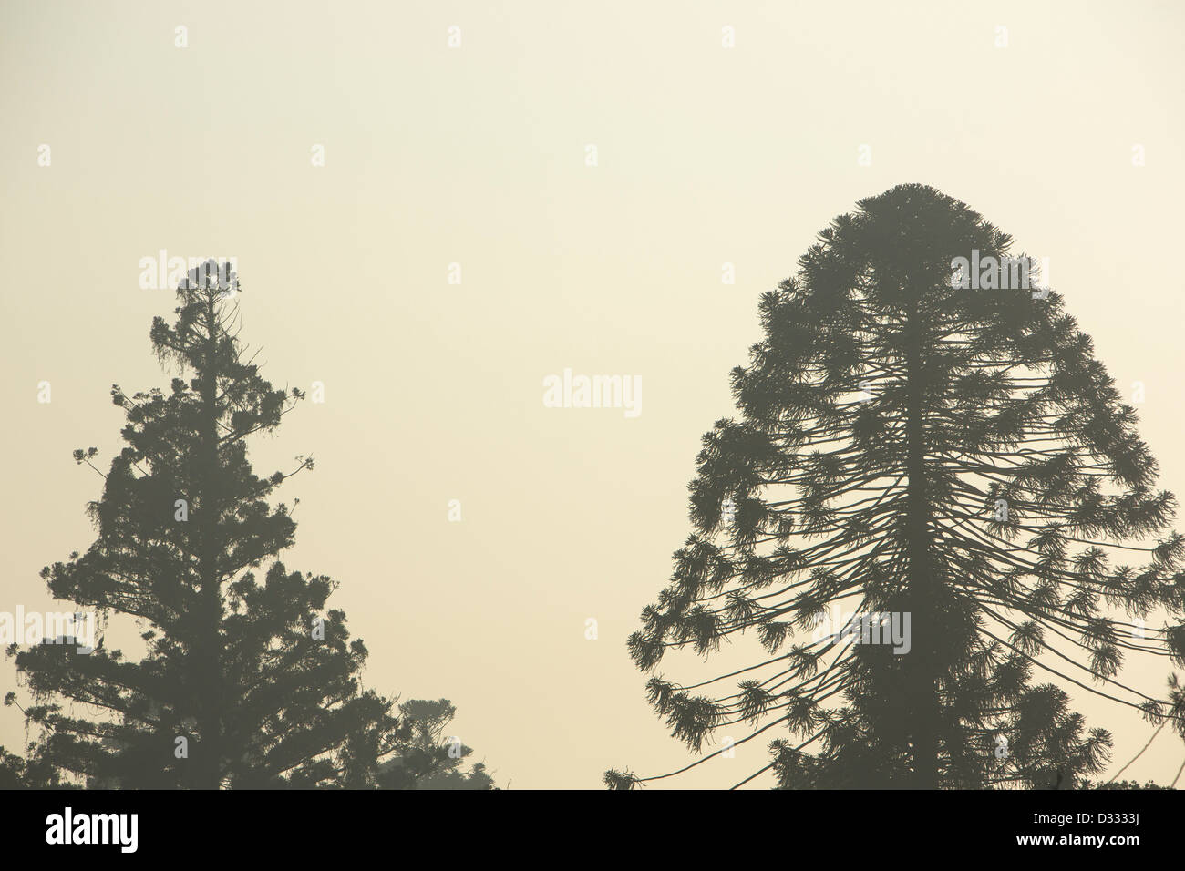 Kathmandu air pollution hi-res stock photography and images - Alamy