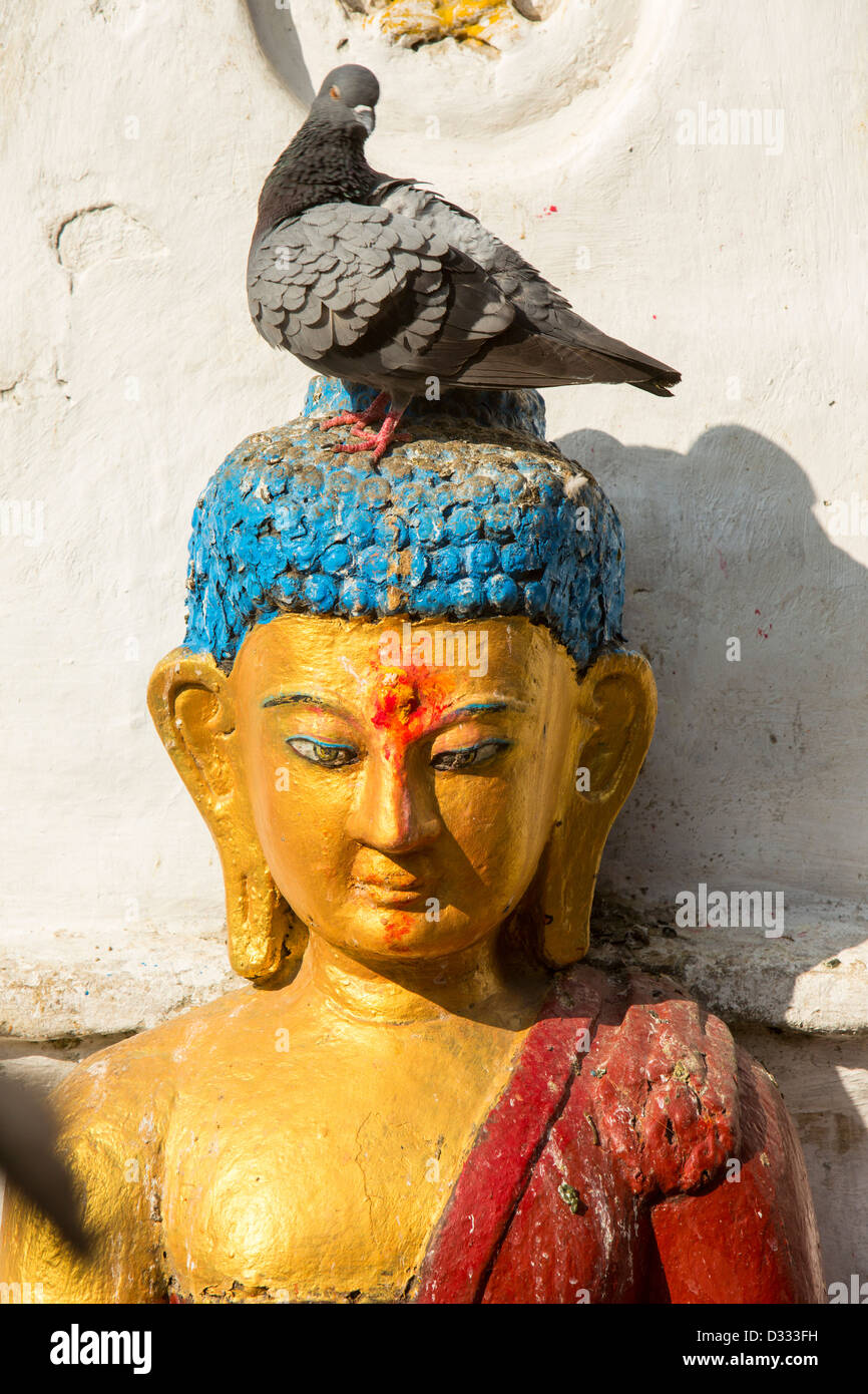 A pigeon on a Buddist deity symbol in Kathmandu, Nepal Stock Photo - Alamy