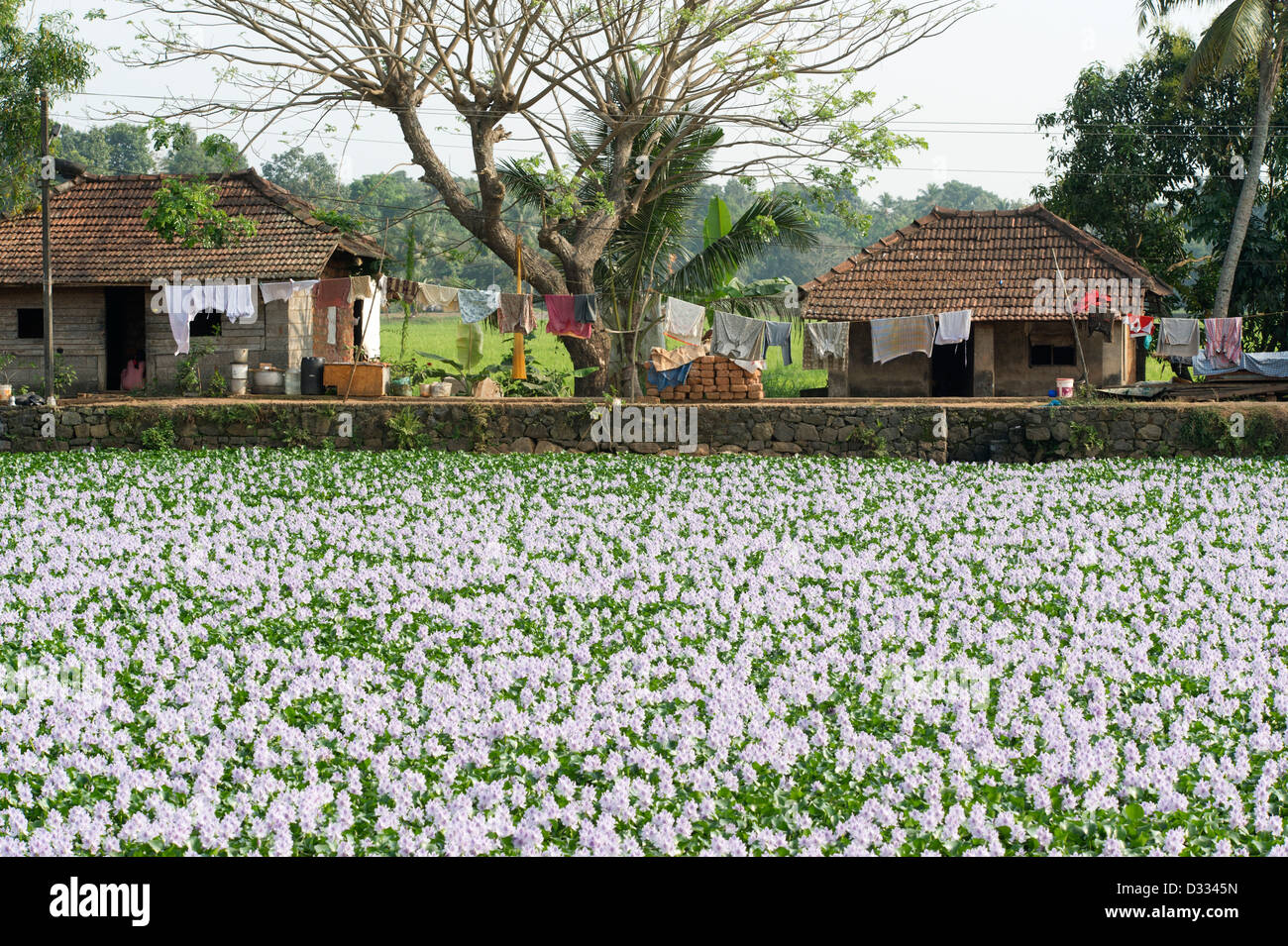Kerala traditional houses hi-res stock photography and images - Alamy