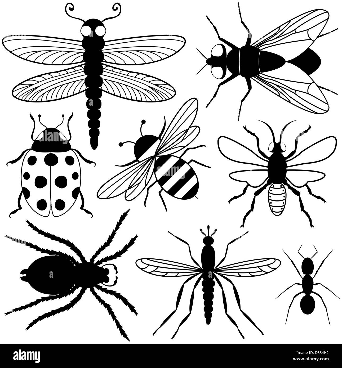 Eight Insect Silhouettes Stock Photo - Alamy