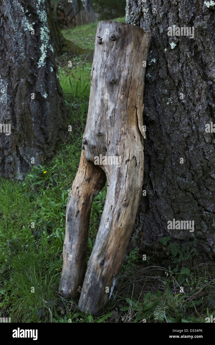 A funny tree branch shaped like a human torso and legs Stock Photo - Alamy