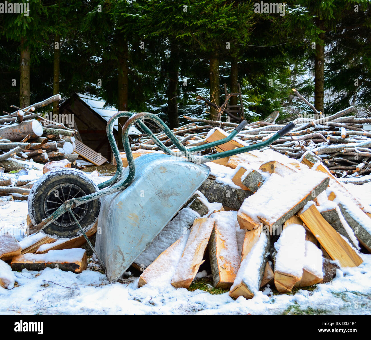 Old wheelbarrow with wood logs against forest - Winter time concept ...
