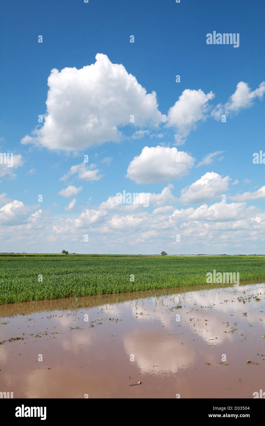 Farm land in flood plain hi-res stock photography and images - Alamy