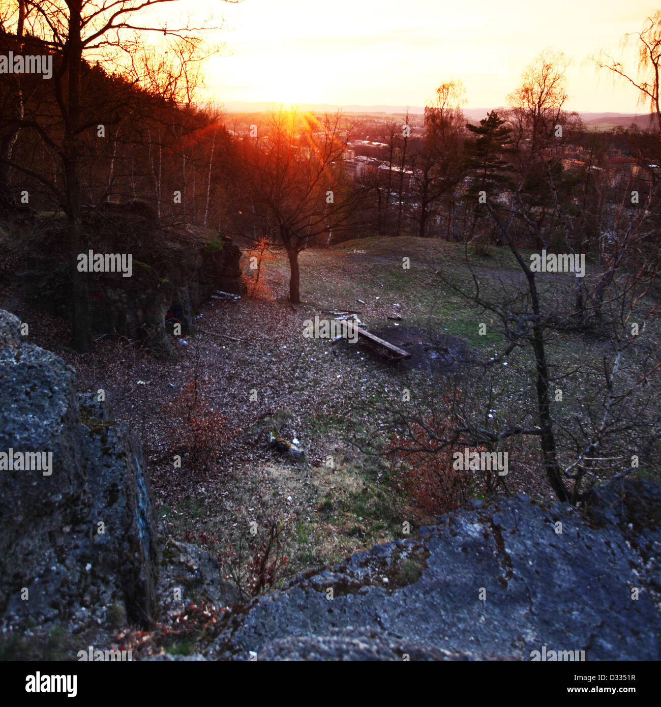 yellow spring forest sunrise Stock Photo - Alamy