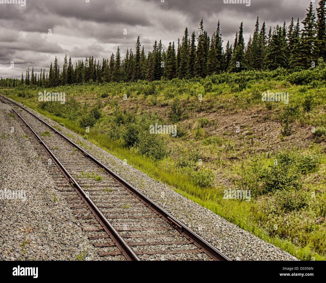 June 28, 2012 - Denali Borough, Alaska, US - Alaska Railroad track ...