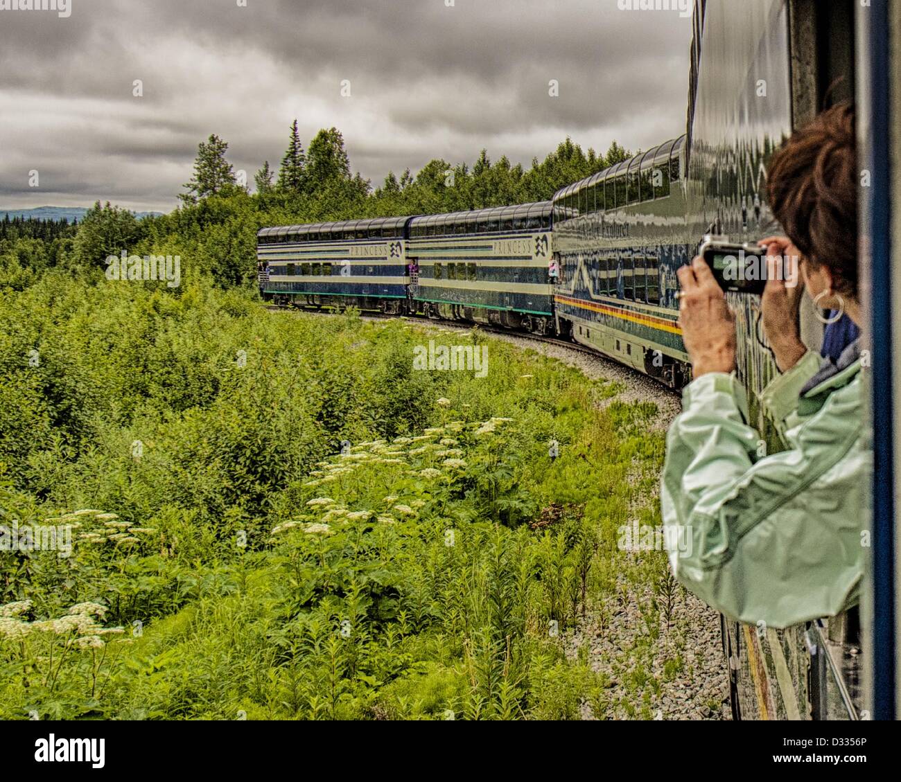 June 28, 2012 - Denali Borough, Alaska, US - A tourist leans out of a ...