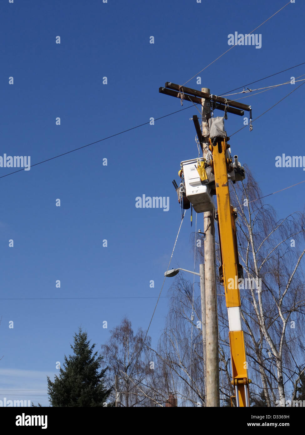 Seattle City Light workmen replace an aging utility pole as part of a ...